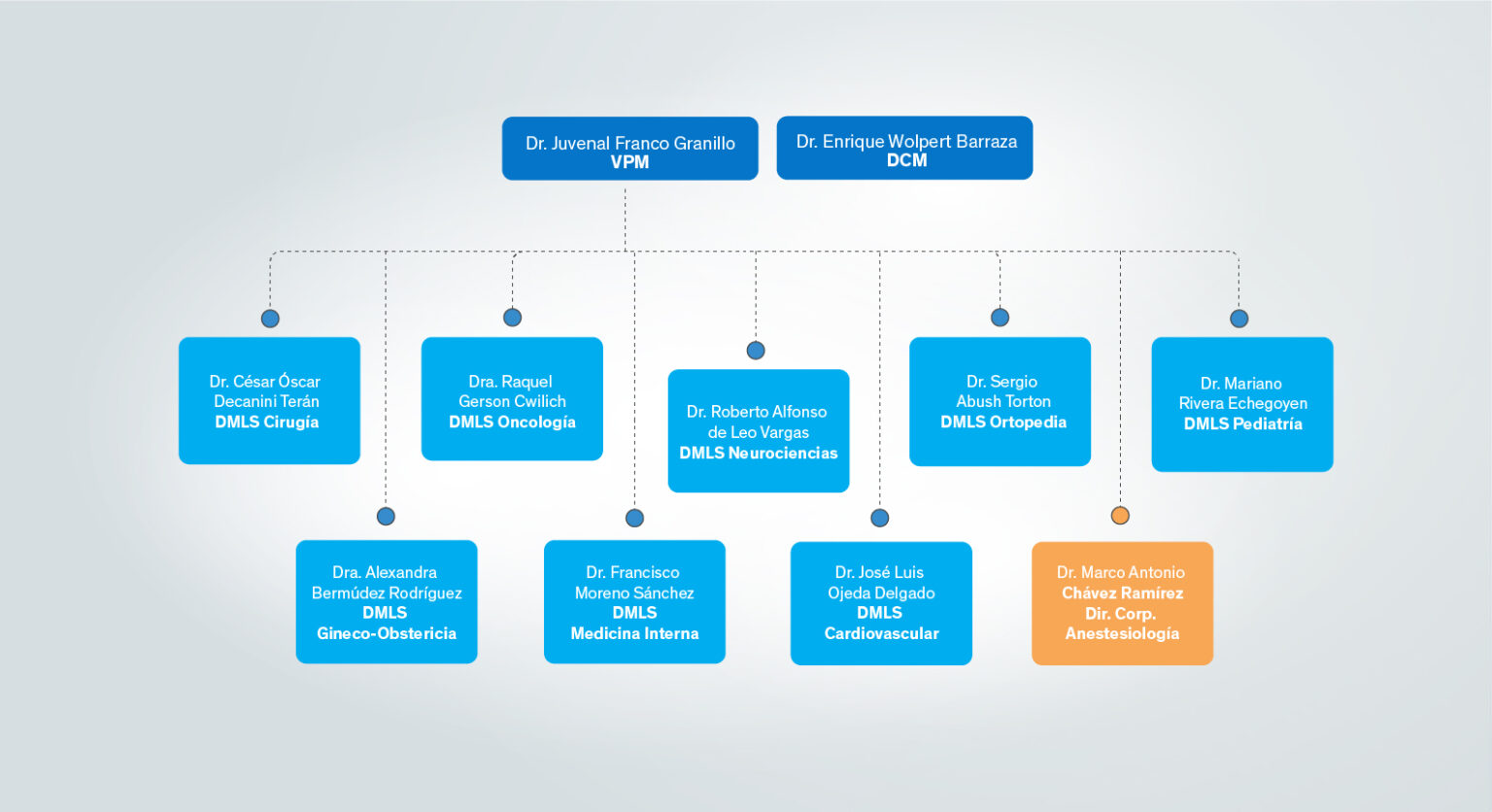 ABC Medical Center’s Organizational Chart | ABC Medical Center